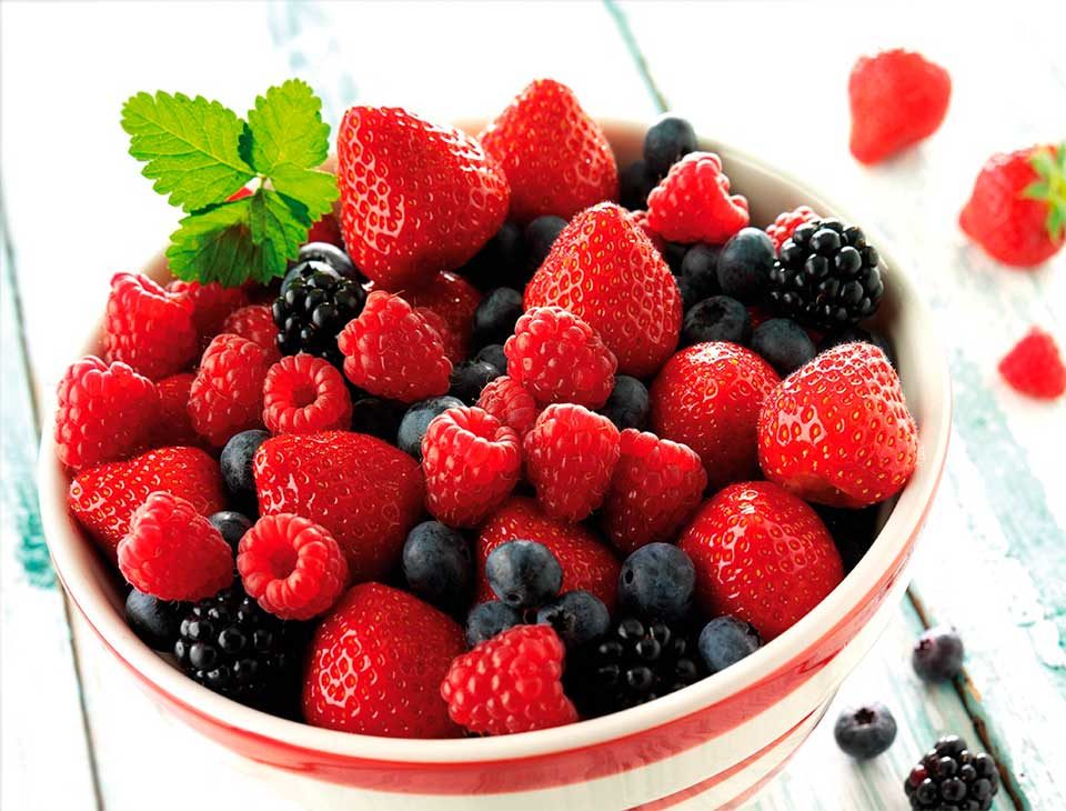 Notas - Los Frutos Rojos - Bariloche - Patagonia