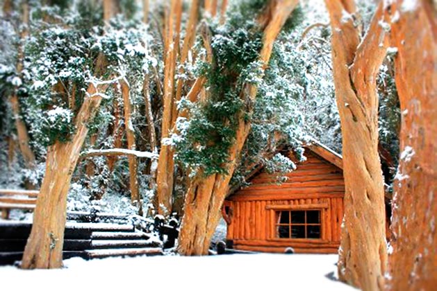 Bariloche Alojamiento, Rent a Car, Excursiones Invierno 2022!!