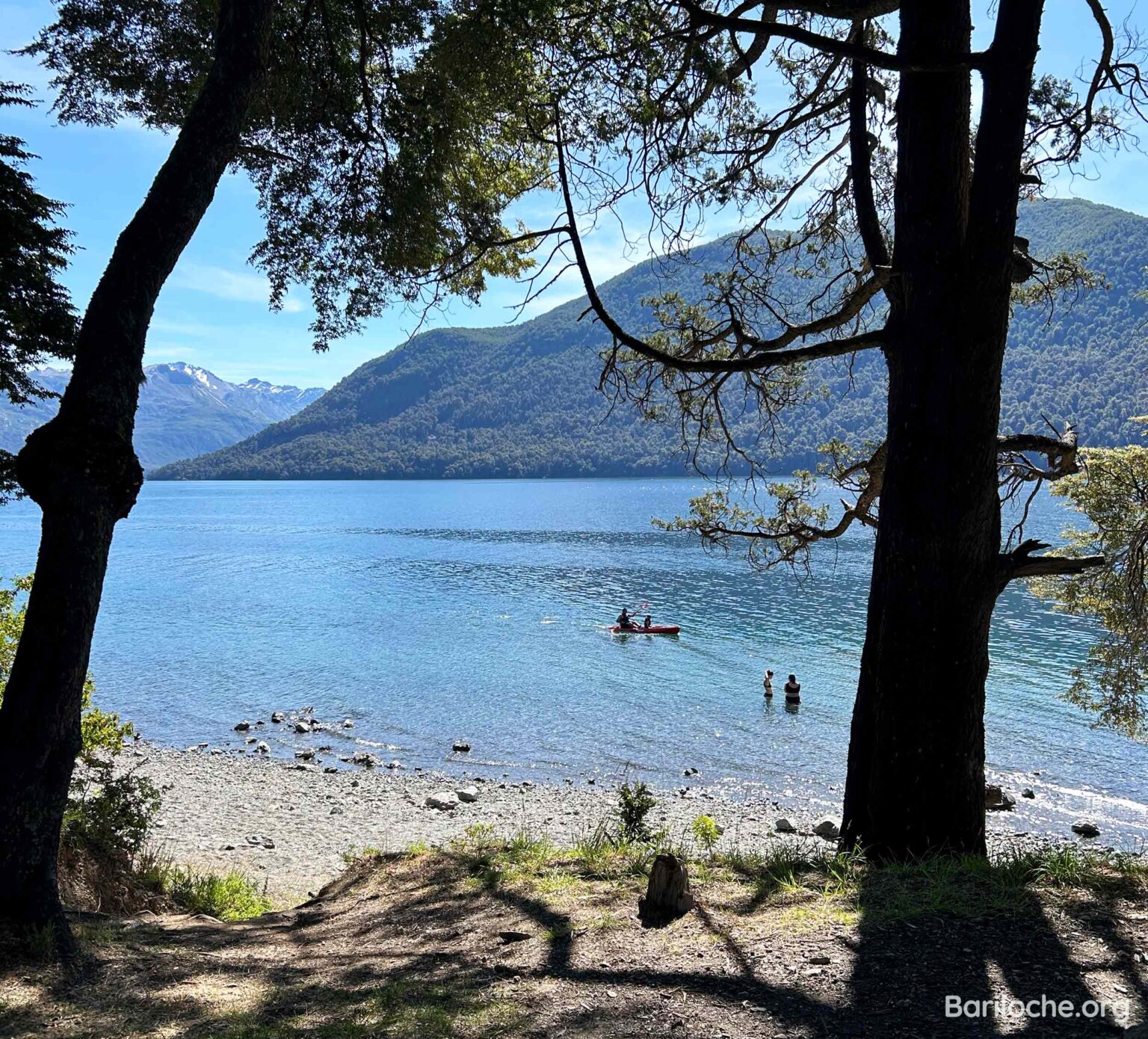 Fauna del Parque Nacional Nahuel Huapi - Bariloche - Patagonia